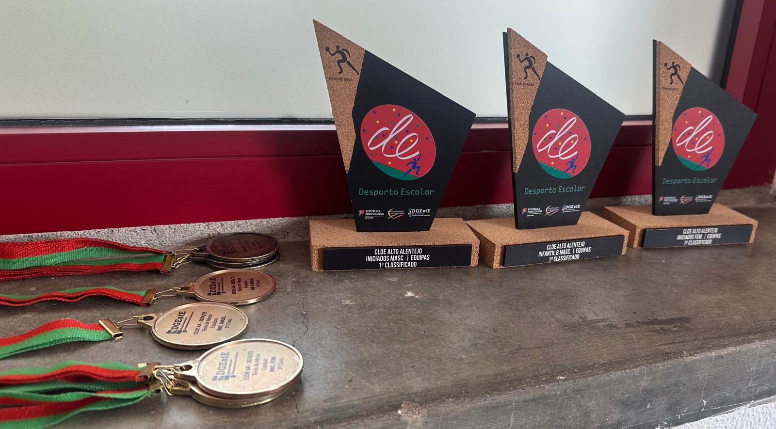 Arquivo de AECV - Agrupamento de Escolas de Castelo de Vide